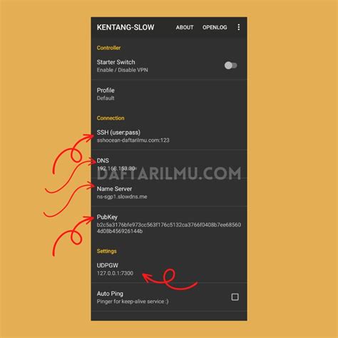 Kentang Slow Dns Lebih Simpel Dan Hemat Baterai Tutorial