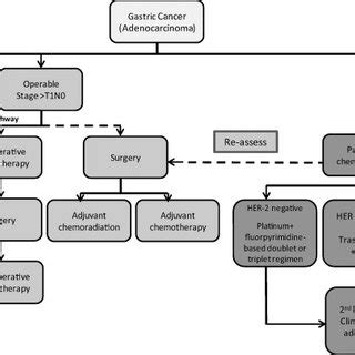 Algorithm For The Management Of Gastric Cancer Download Scientific Diagram