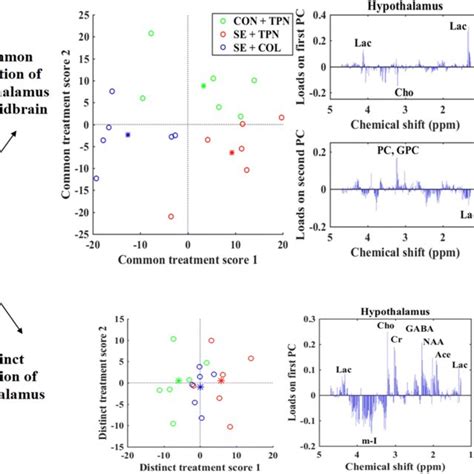 Pe Asca Result Of The Experimental Nmr Metabolomics Data A Schematic Download Scientific