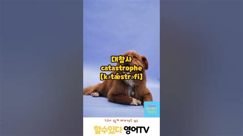 50초 발음 어려운 영어단어 미국영어 반복재생영어 초보영어 영어반복 생활영어 반복영어 영어회화 Shorts Youtube