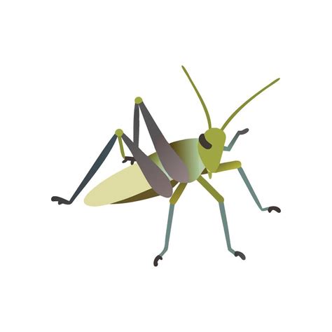 Stylish Grasshopper Art 57077666 Vector Art At Vecteezy