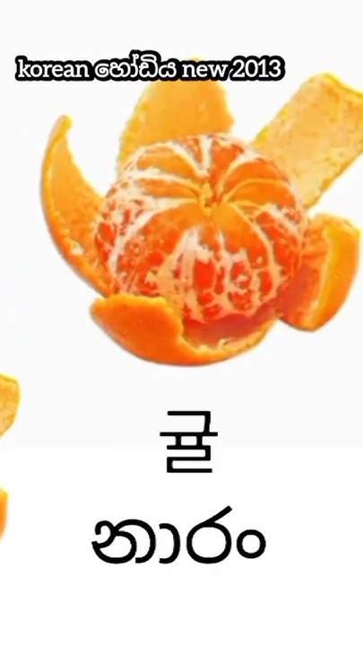 පලතුරු වර්ග Youtube