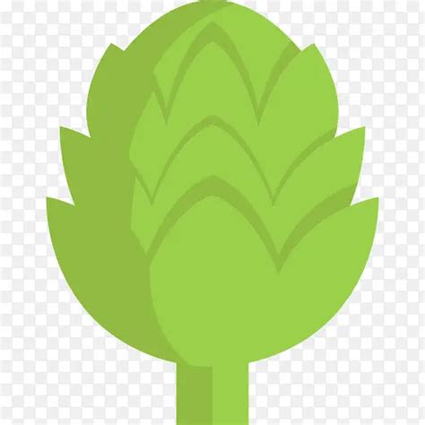 朝鲜蓟图标PNG图片素材下载 图片编号qzkrprmb 免抠素材网