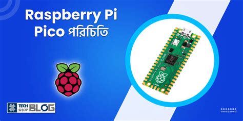 Raspberry Pi