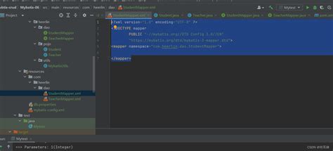 Mybatis复杂环境搭建 多对一的处理 一对多的处理mybatis一对多添加数据 Csdn博客