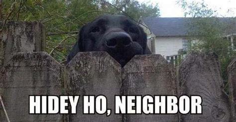 K Nearest Neighbors Knn Implementation And Evaluation Of Knn By