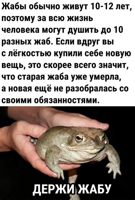 Жаба Пикабу