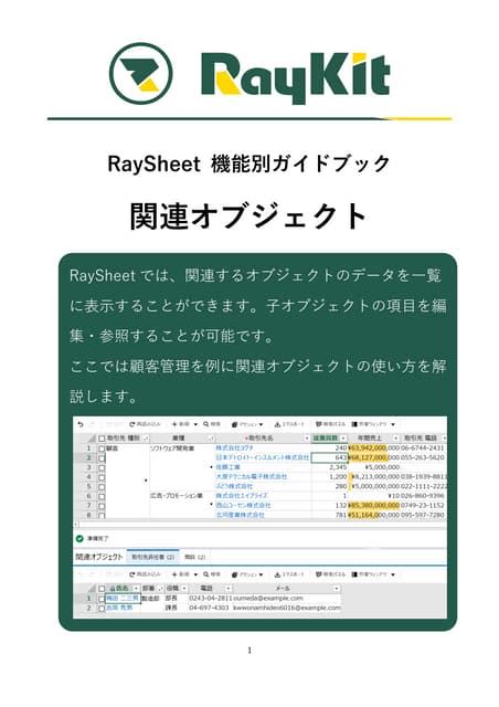 Raysheetrelationobject Pdf