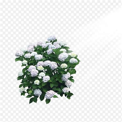 花卉绿化PNG图片素材下载 图片编号9494927 PNG素材网
