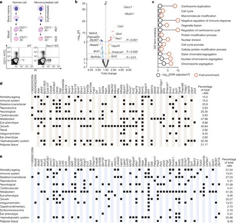 Nature：科学家识别出与机体细胞dna损伤和多种人类疾病发生相关的关键基因 癌症研究专区 生物谷
