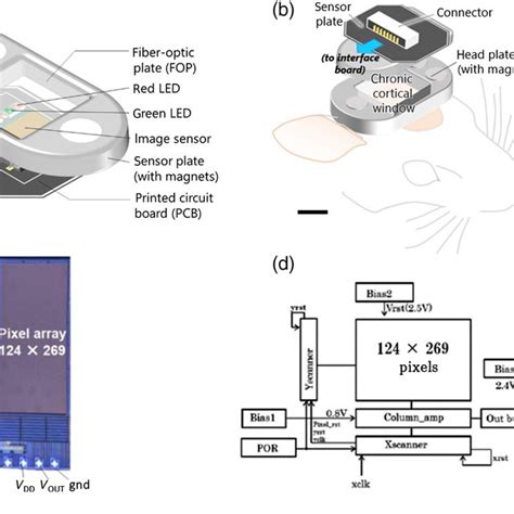 Schematic Of The Modular Head Mounted Imaging Device For Monitoring Ios Download Scientific
