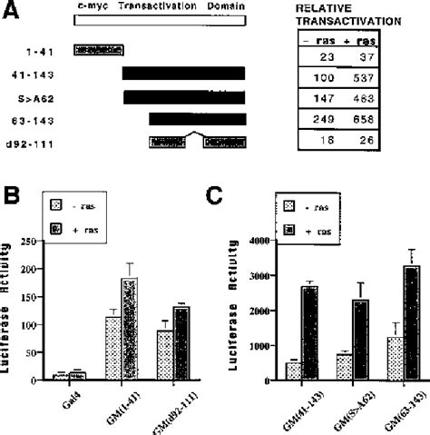 Figure 1 From The Transactivation Potential Of A C Myc N Terminal Region Residues 92 143 Is