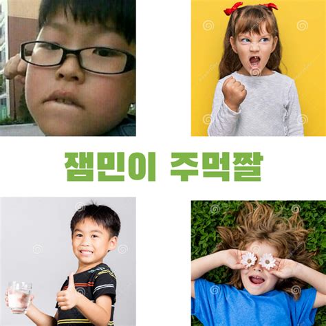 잼민이 뜻 유행어 목소리 주먹 짤 사진 근황 유래 외국 네이버 블로그