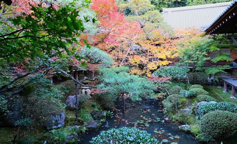 永観堂庭園 画像ギャラリー
