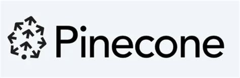 The Developer Favorite Database Pinecone Recognized As The Most
