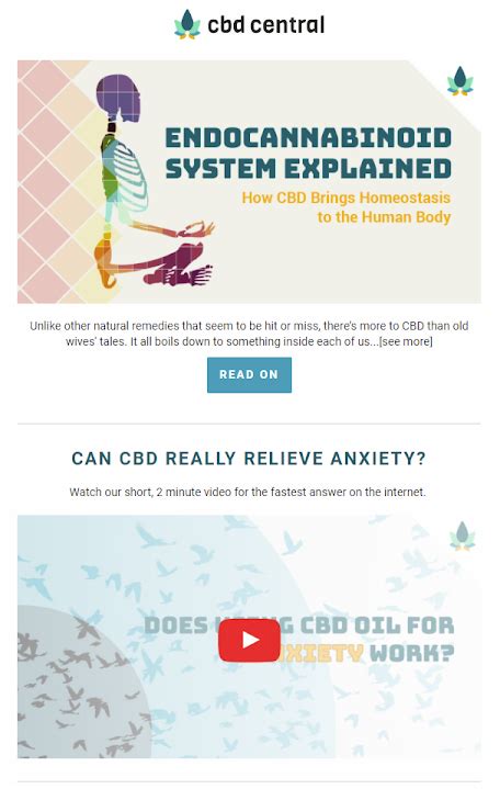 Proven Email Blast Examples With Open And Click Rate Data BDOW Formerly Sumo