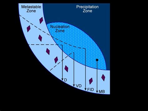 1 A Generalized Depiction Of The Solubility Phase Diagram For Protein Download Scientific