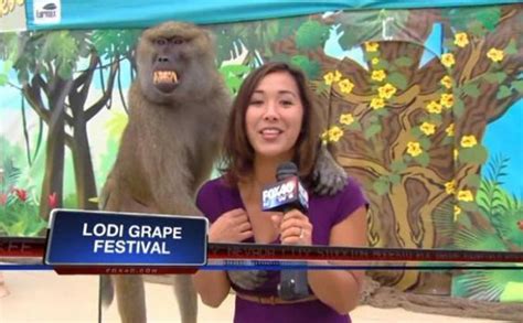 Remas Payudara Artis