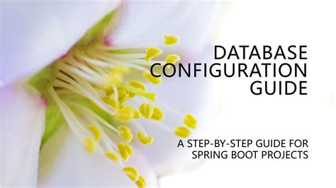 Spring Boot Project Database Configuration Guide For Local And Cloud Environments