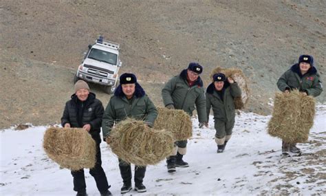 Зэрлэг амьтдын идэш тэжээлд 260 боодол өвс 9 тонн давс тавьжээ Serune Mn Ёс зүйтэй мэдээлнэ