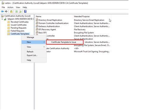 Guia Passo A Passo Para Configuração De Ldaps No Windows Server Ad Ds Settings Segura Community