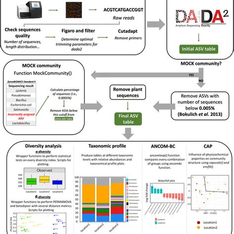 Micro4all Workflow Pipeline Summary For Microbial Community Analysis