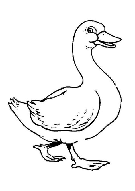 Рисунок гуся карандашом 68 фото