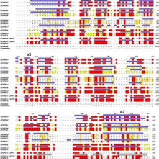 Structure Based Sequence Alignment Illustrating Sequence Conservation
