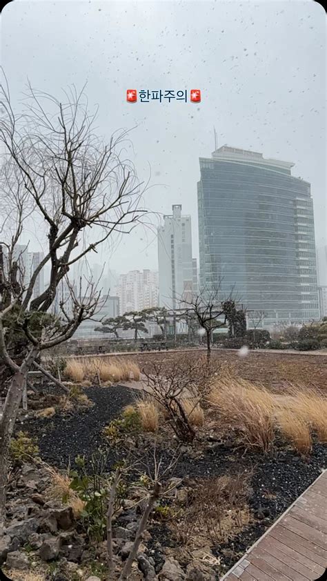 부산광역시 🥳 Busancity 팔로워 20만 미리 축하해🎉 여러분의 관심과 사랑 덕분에 부산시 공식 인스타그램 Busancity 팔로워 20만 달성이 🐽코앞으로