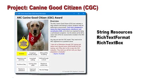 OOP Programming VB 05P Canine Good Citizen Project YouTube