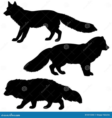 Raposa Polar Da Silhueta Texugo Ilustração Do Vetor Ilustração De
