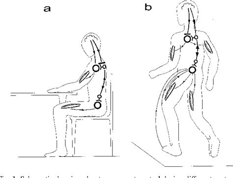 Figure 3 From Spinal Cord Pattern Generators For Locomotion Semantic Scholar