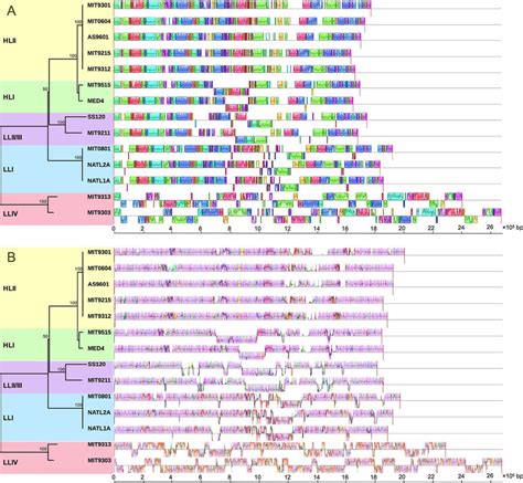 Genome Comparison Among 14 Prochlorococcus Complete Genomes The Genome Download Scientific