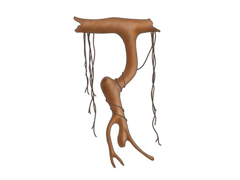 d source banyan tree letterforms transformations d source digital