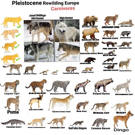 Pleistocene Rewilding Europe Carnivores By Tabrizshadow On Deviantart