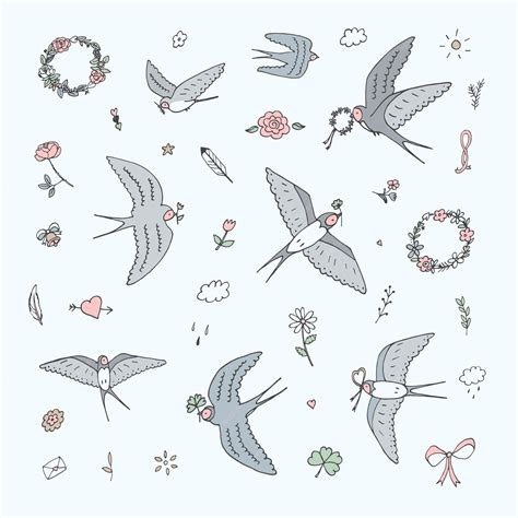Premium Vector Swallow Bird Vector Illustrations Set