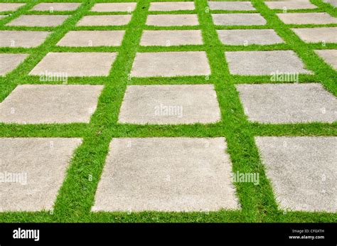 Australia Big Stones Grass