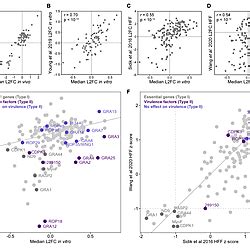 Comparison Of CRISPR Screen Phenotypes To Published Datasets