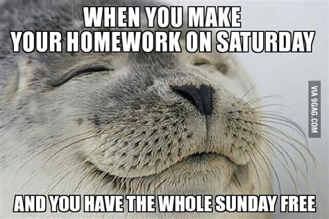 Oh Yes Gag