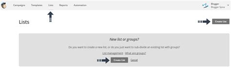 Mailchimp Is The Best Email Marketing Solution BloggerSpice SEO Training And Money Making
