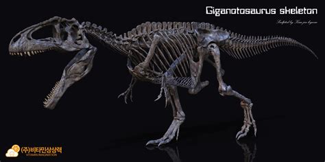 Giganotosaurus Skeleton