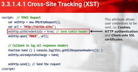 Cross Site Scripting XSS