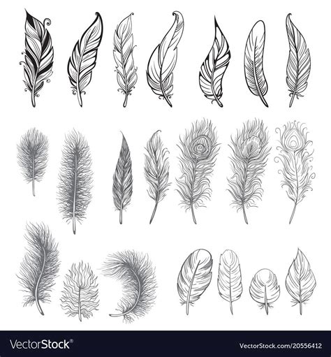 Collection Of Hand Drawn Feather Ink Illustration Isolated On White