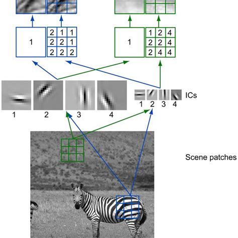 Object Localization In Natural Scenes A Two Input Scenes B