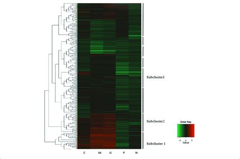 Heatmap Of Hierarchical Clustering Each Column Represents A Download Scientific Diagram
