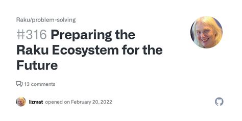 preparing the raku ecosystem for the future problem solving issue r