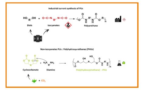 Non Isocyanate Polyurethane Nipu