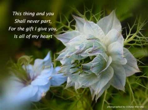 Eritrean Lovely Classical Song YouTube