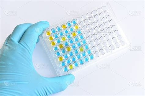 酶联免疫吸附试验或elisa平板