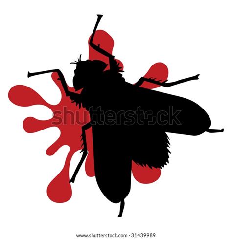 Squashed Fly Stock Vector Royalty Free 31439989